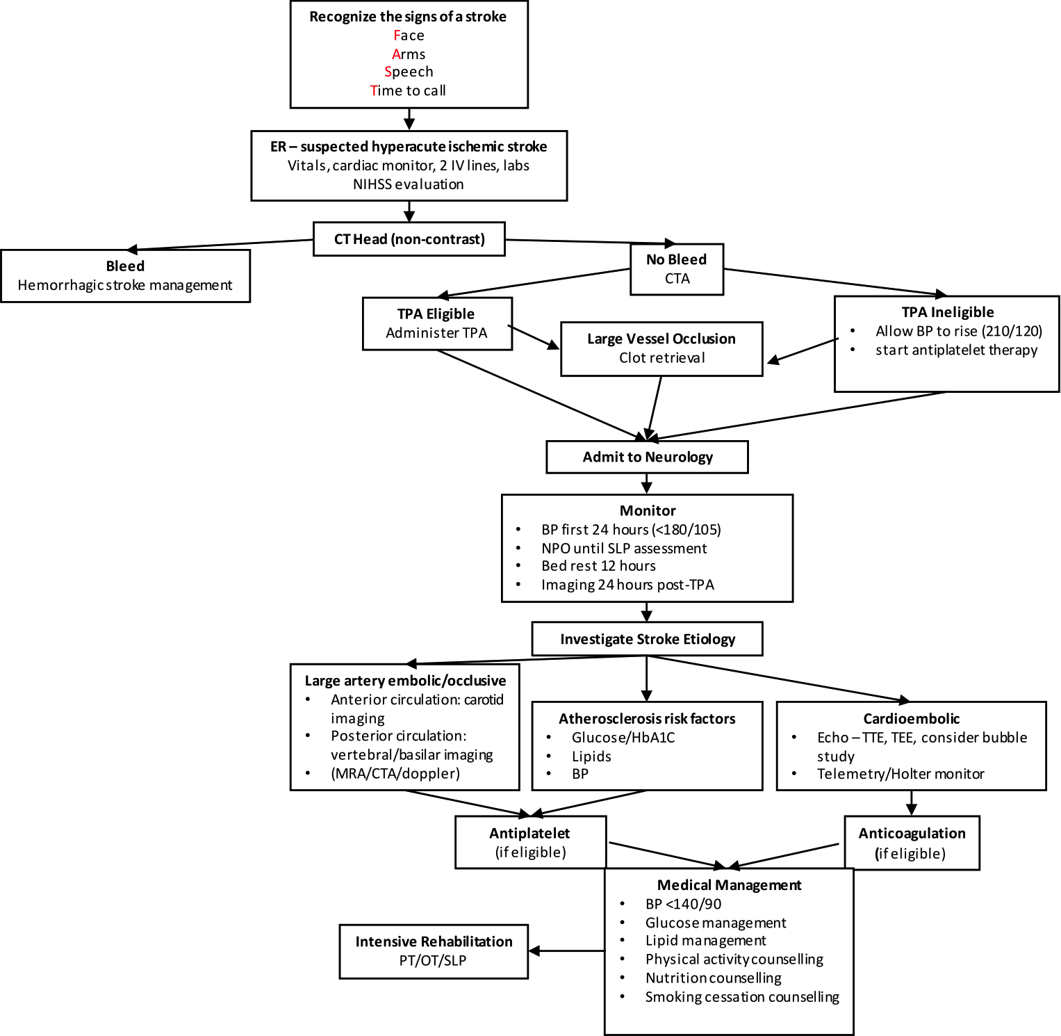 Ischemic Stroke