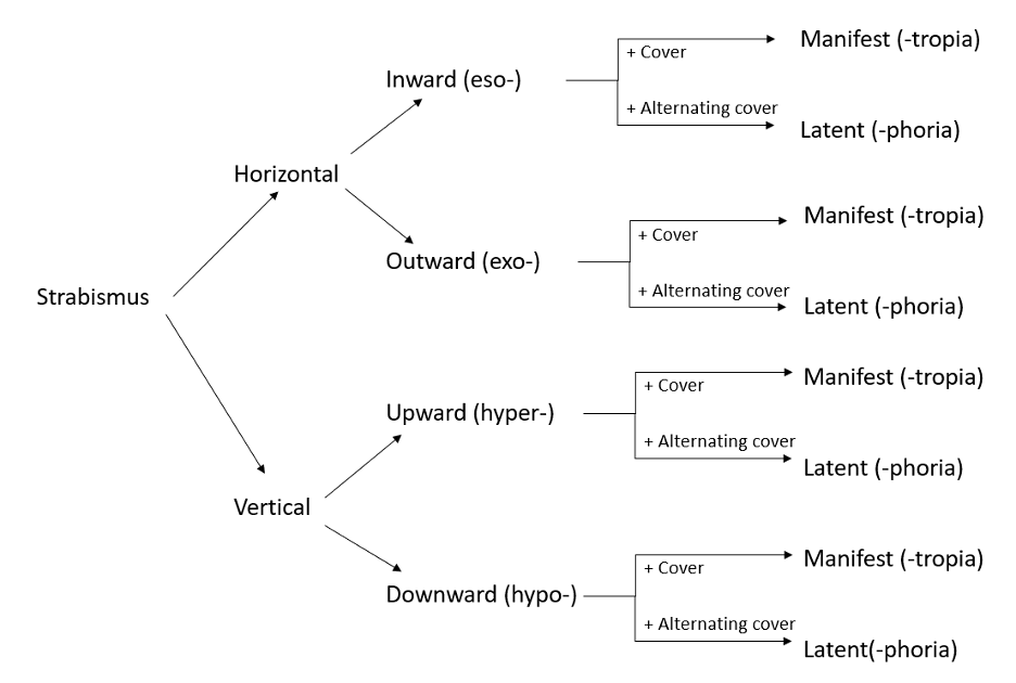 View of Approach to Strabismus | McGill Journal of Medicine