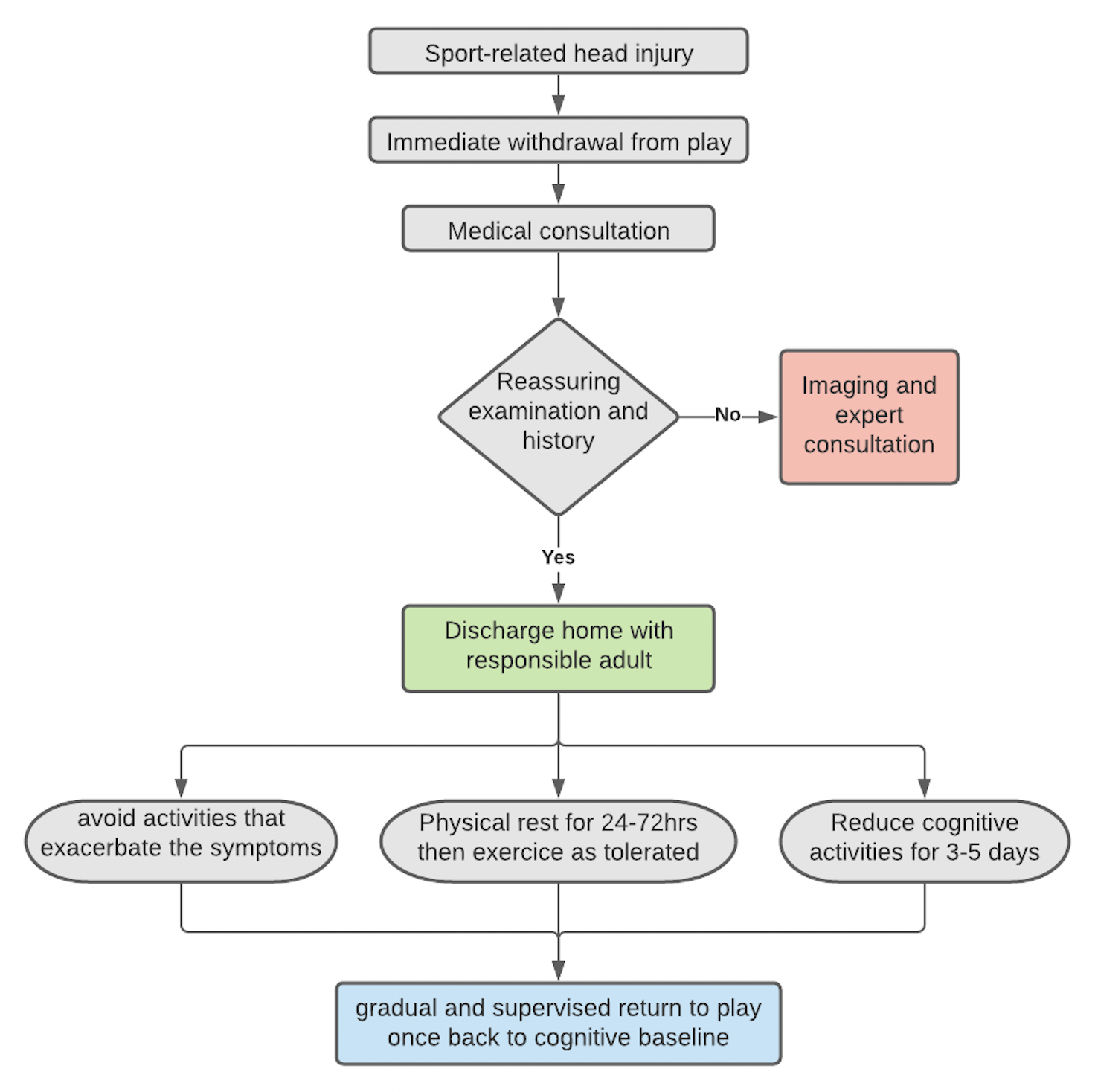 Concussion in the Adult Athlete